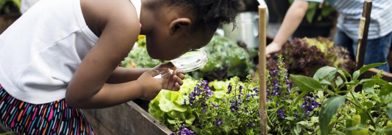 Summer programs for low-income youth | Urban Institute