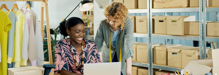 Innovations in Small Business Support: Implementing the State Small ...