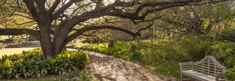 Three Ways Local Leaders Can Champion Equitable Parks for Healthy ...