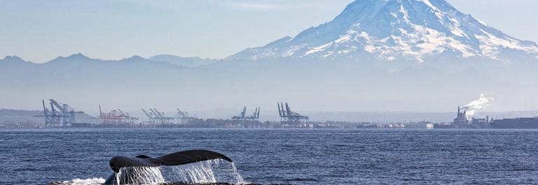 Who Governs the Community Disaster Resilience Zones? | Urban Institute