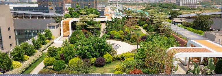 How Cities Can Advance Equitable Climate Resilience Policies | Urban ...